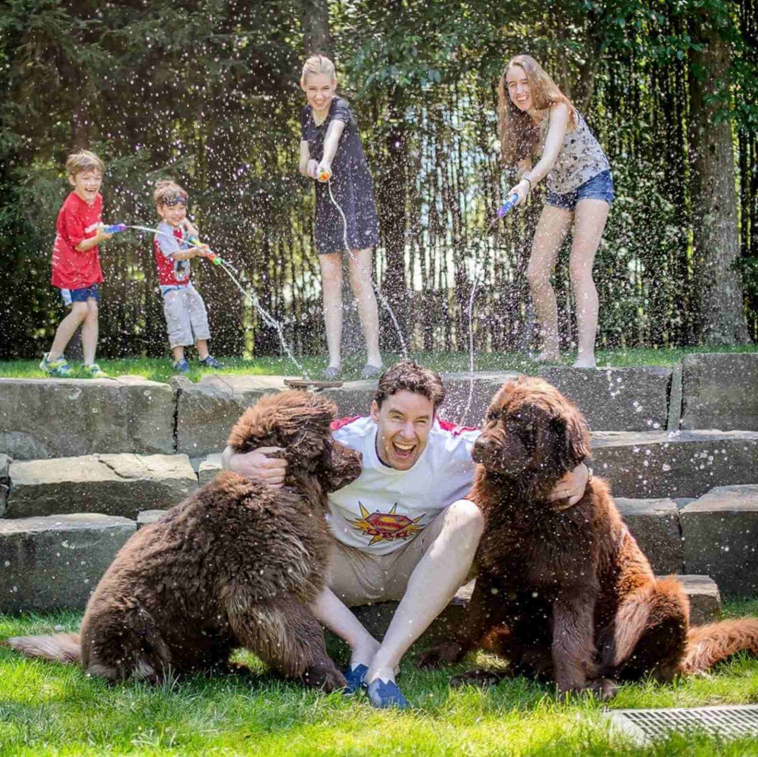 14 Amazing Facts About Newfoundland Dogs You Probably Never Knew - Page ...