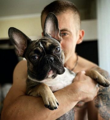 15 Realities That New French Bulldog Owners Must Accept - The Dogman