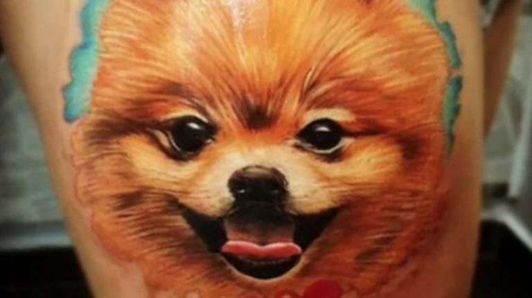 20 Best Pomeranian Tattoo Ideas and Designs - The Dogman