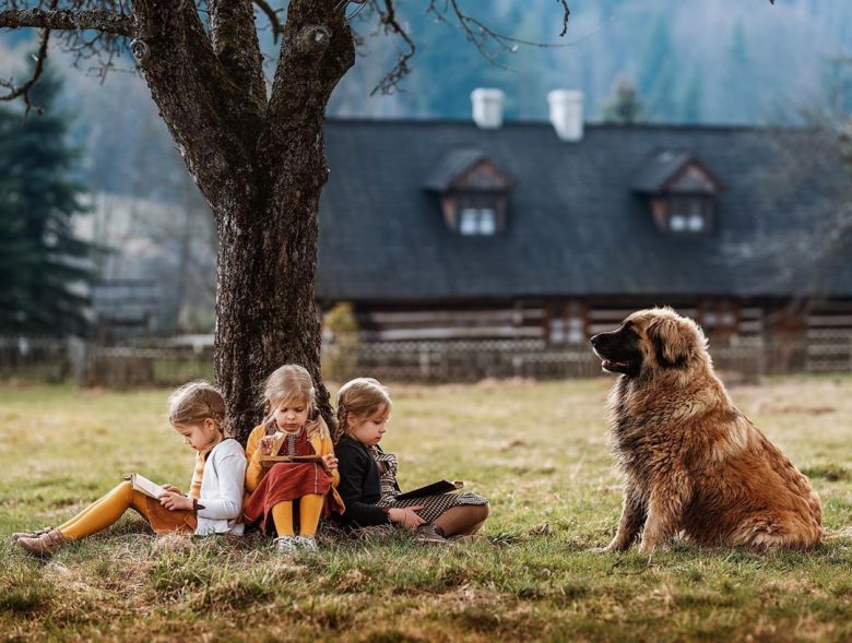 14 Signs You Are A Crazy Leonberger Person - The Dogman