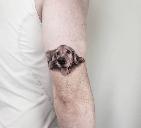 The 21 Cute Spaniel Tattoo Ideas for Every Taste - The Dogman