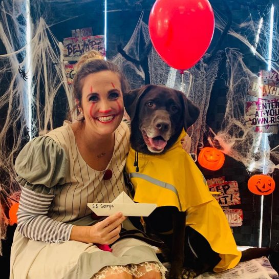 14 Amazing Labrador Halloween Costumes for 2020 - Page 3 of 5 - The Dogman