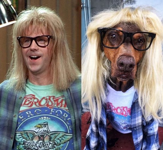 15 Best Doberman Costumes To Celebrate Halloween 2020 - Page 5 of 5 ...