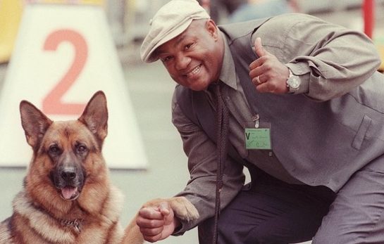 15 Celebrities and their Great Danes - The Dogman