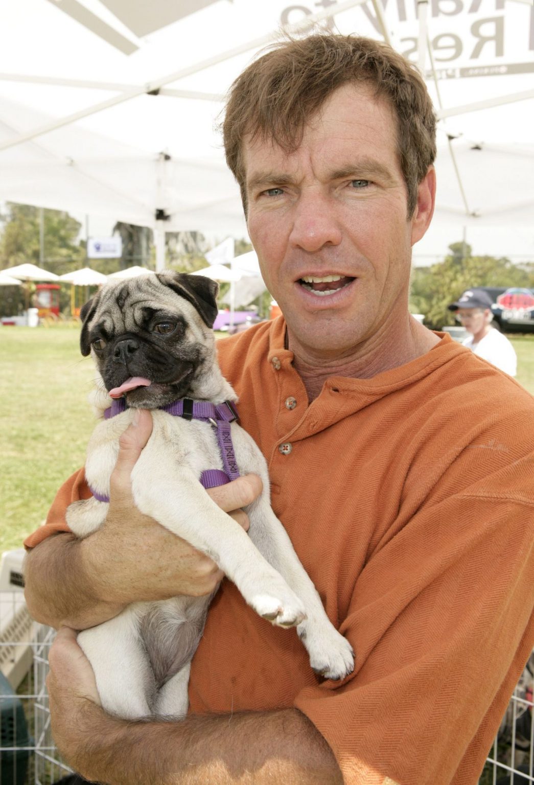 18 Famous Celebrities and their Pugs - The Dogman