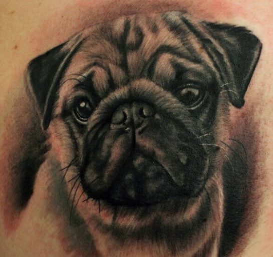 27 Best Pug Tattoos That Show Your True Devotion - The Dogman