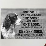 16 Best Springer Spaniel Memes So You Won't Be Sad - The Dogman