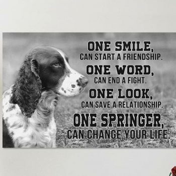 16 Best Springer Spaniel Memes So You Won't Be Sad - The Dogman