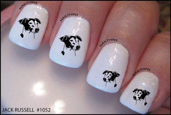 16 Glamorous Nail Designs for Jack Russell Owners - The Dogman