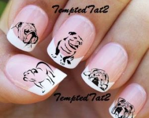 16 Decorative Nail Designs for English Bulldog Owners - The Dogman