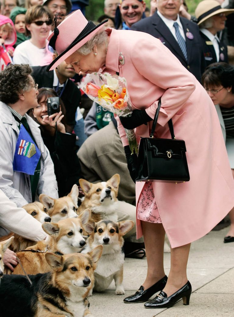 16 Facts About Corgis - Queen Elizabeth II - The Dogman