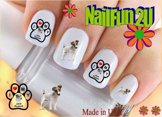 16 Glamorous Nail Designs for Jack Russell Owners - The Dogman