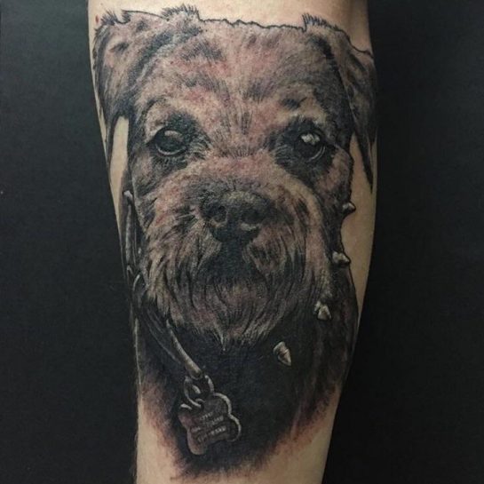 18 Border Terrier Tattoo Ideas & Designs - The Dogman
