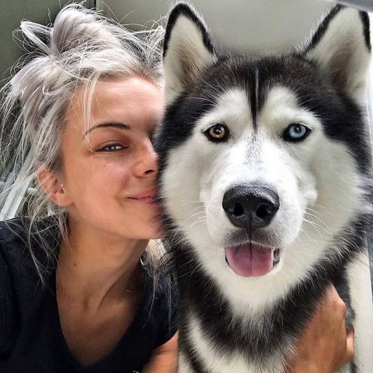 14 Things Siberian Husky Owners Must Never Forget - The Dogman