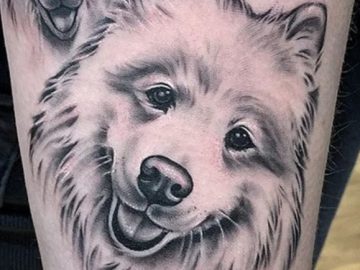 15 Realities That New Samoyed Owners Must Accept | The Dogman