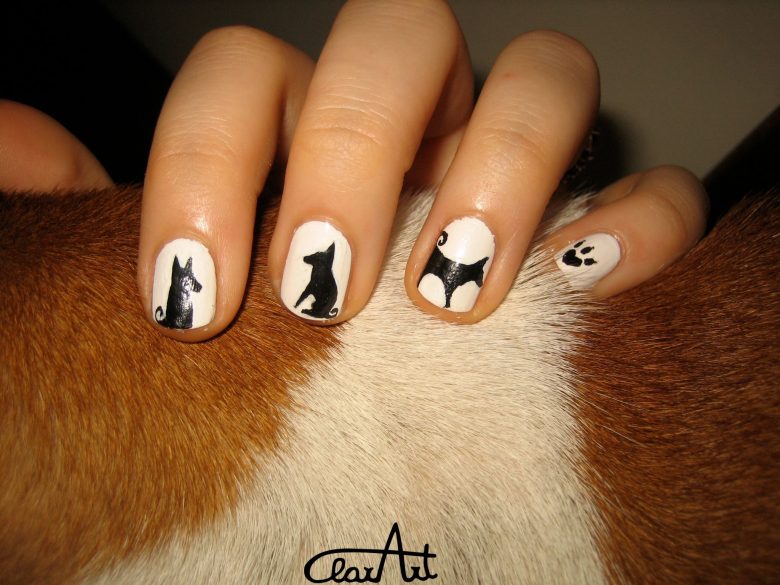 16 Graceful Nail Designs For Basenji Owners - The Dogman