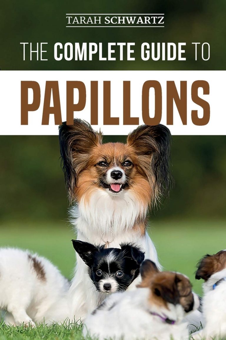 14 Books Every Papillon Dog Owner Should Read - The Dogman