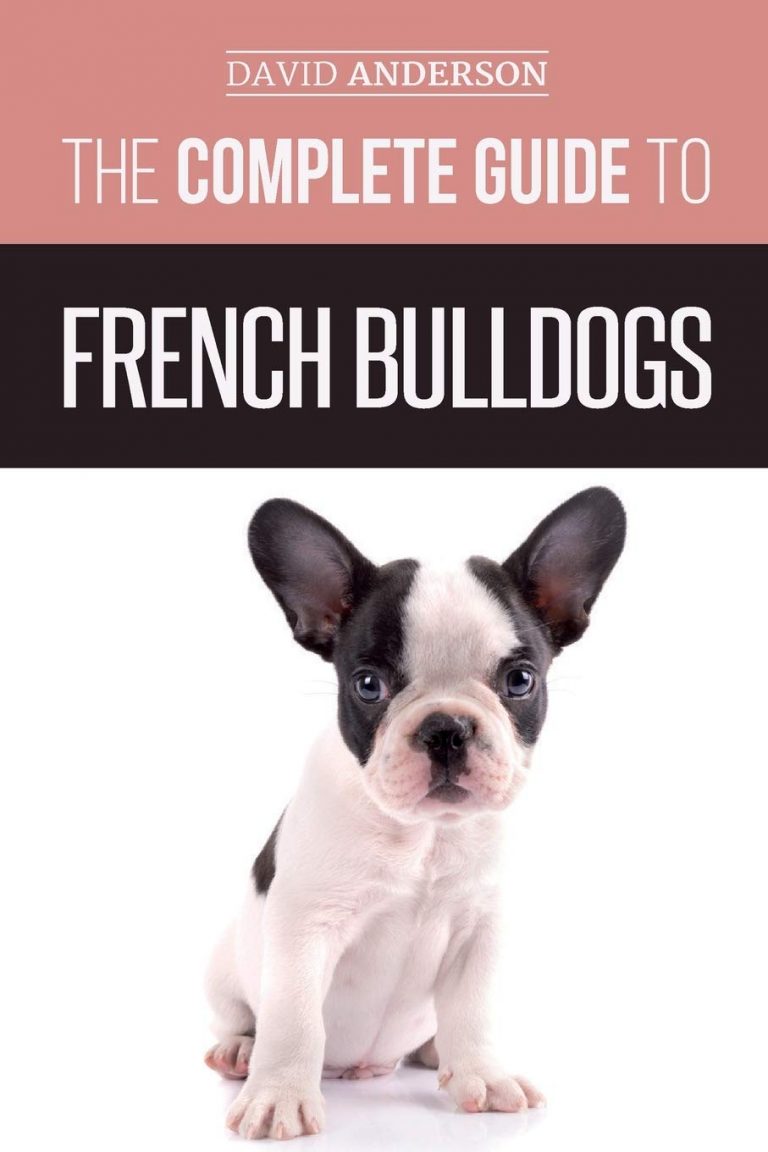 14 Books Every French Bulldog Owner Should Read - The Dogman
