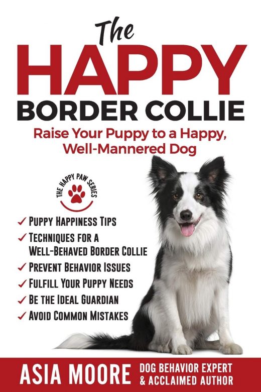 14 Books Every Border Collie Dog Owner Should Read - The Dogman