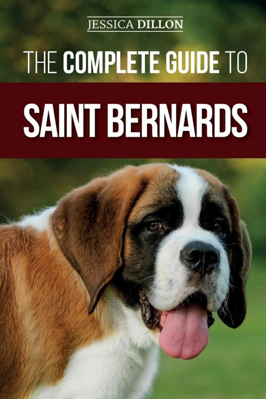 14 Books Every St Bernard Dog Owner Should Read - The Dogman