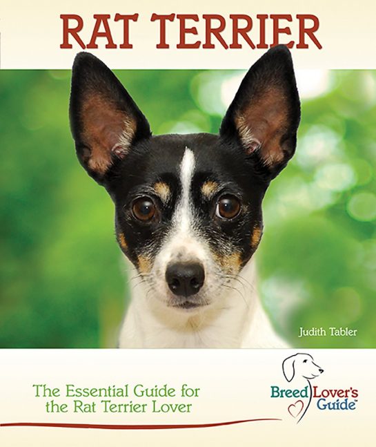 14 Books Every Rat Terrier Dog Owner Should Read - The Dogman