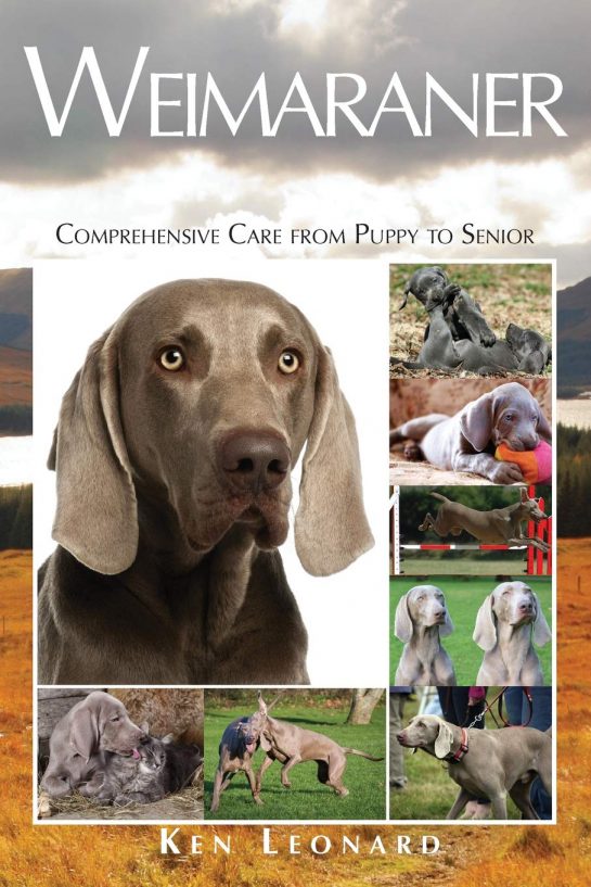 14 Books Every Weimaraner Dog Owner Should Read - The Dogman