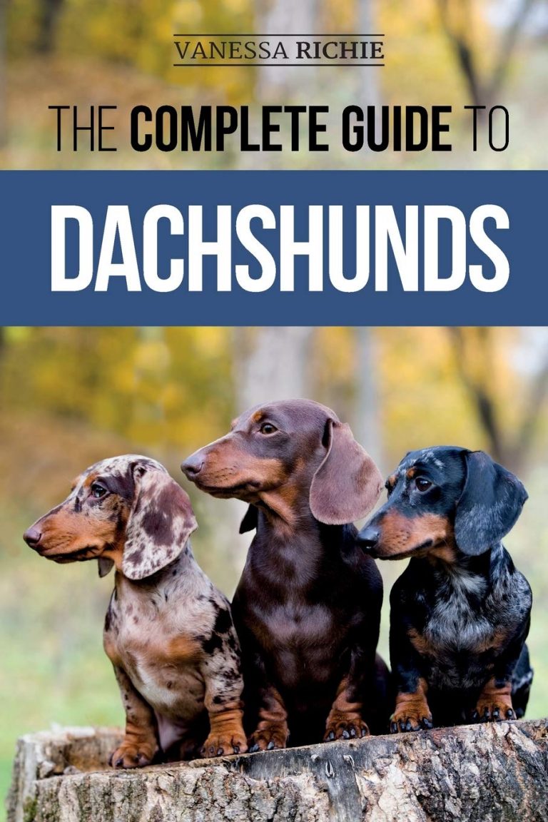 14 Books Every Dachshund Dog Owner Should Read - The Dogman