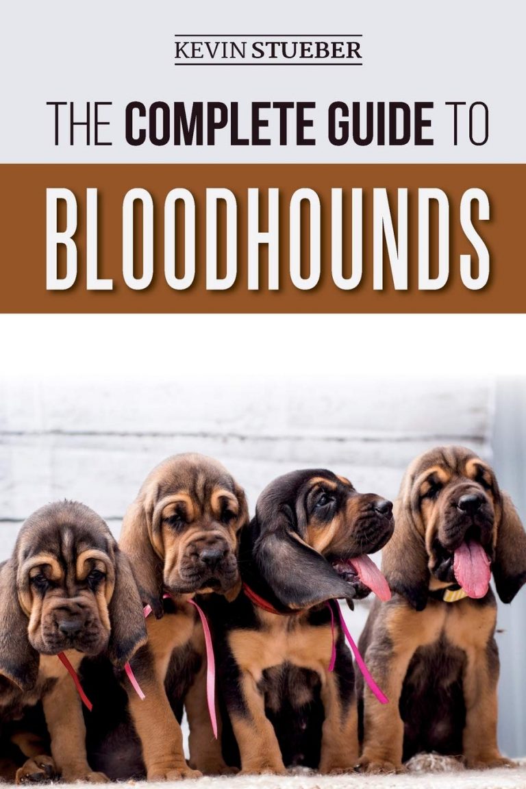 14 Books Every Bloodhound Dog Owner Should Read - The Dogman