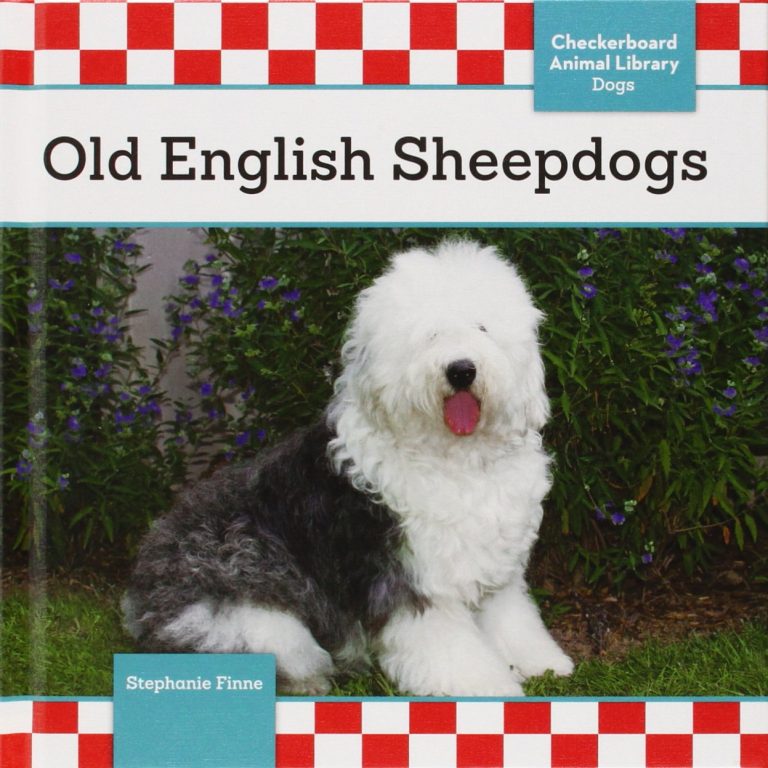 14 Books Every Old English Sheepdog Owner Should Read - The Dogman