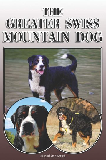 14 Books Every Greater Swiss Mountain Dog Owner Should Read - The Dogman
