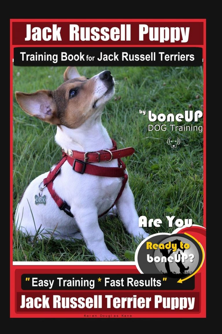 14 Books Every Jack Russell Dog Owner Should Read - The Dogman