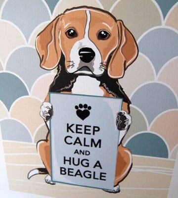 15 Beagle Pictures to Brighten Your Day - The Dogman