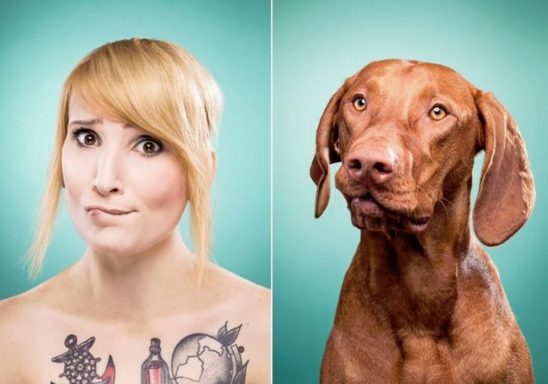 15 Photos Confirming Dogs Look Like Their Owners - The Dogman