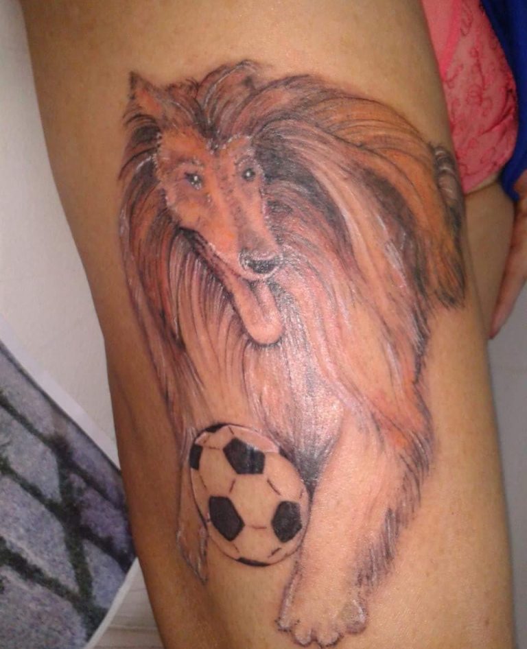 18 Best Collie Tattoo Ideas - The Dogman