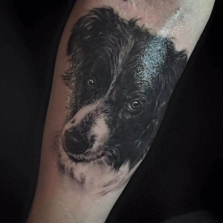 18 Cutest Border Collie Tattoo Ideas - The Dogman