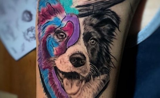 The 22 Awesome Border Collie Tattoo Designs - The Dogman
