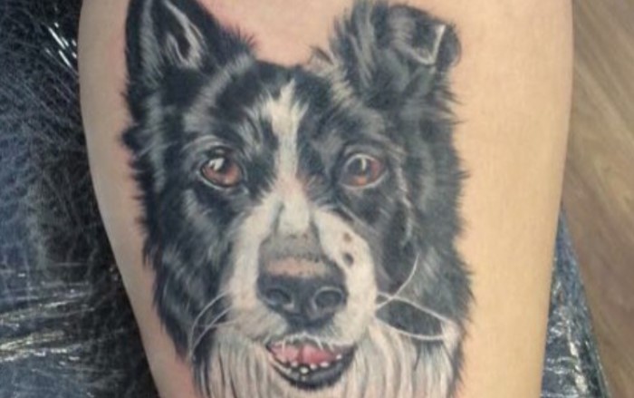 18 Best Border Collie Tattoo Designs - The Dogman