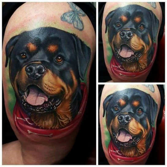 18 Amazing Rottweiler Tattoo Ideas You'll Love - Page 2 of 5 - The Dogman