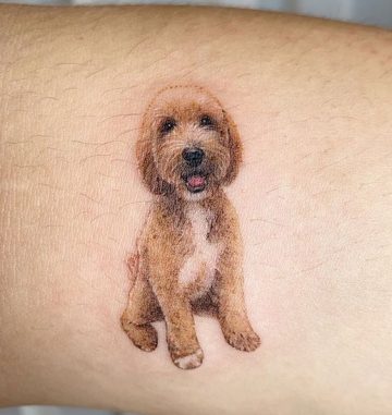 18 Best Goldendoodle Tattoo Ideas - The Dogman