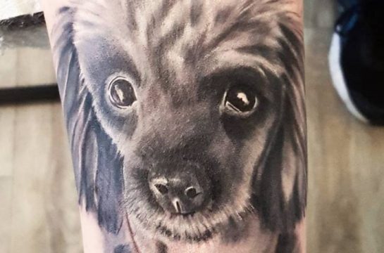 19 Of The Best Poodle Tattoo Ideas Ever - The Dogman