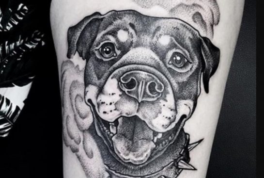 18 Rottweiler Tattoo Ideas You'll Love - The Dogman