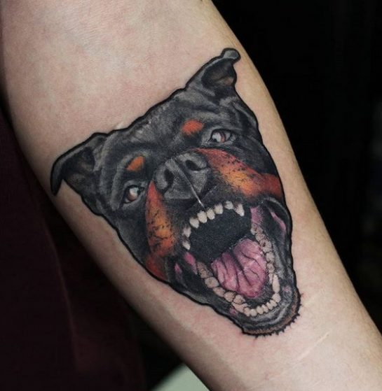 18 Rottweiler Tattoo Ideas - The Dogman