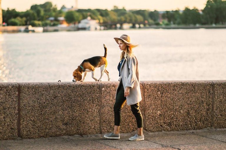 16 Absolutely Hilarious Beagle Pictures - The Dogman