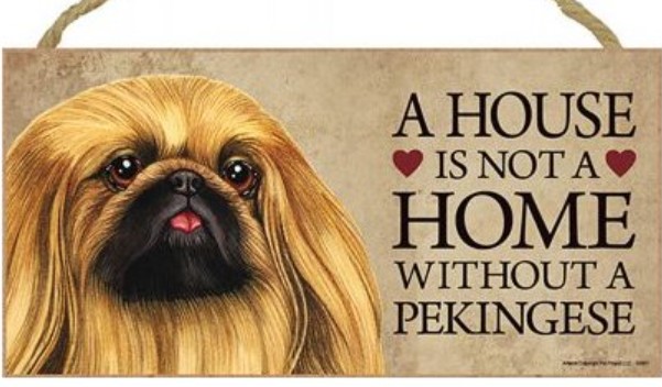 15 Best Pekingese Memes to Raise Your Mood - The Dogman